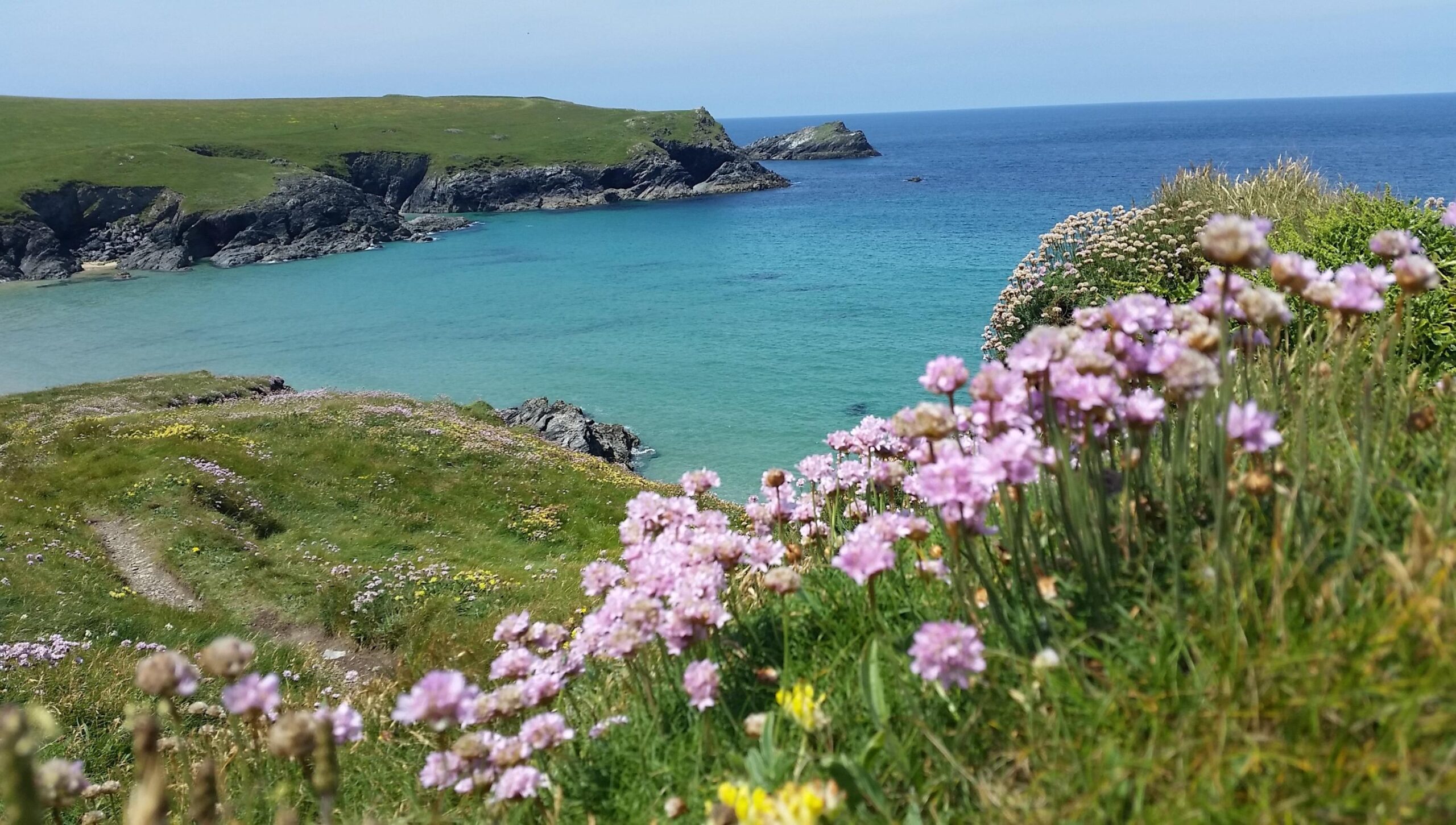 Eight Things to Do in Spring in Cornwall - The Alverton Hotel, Truro